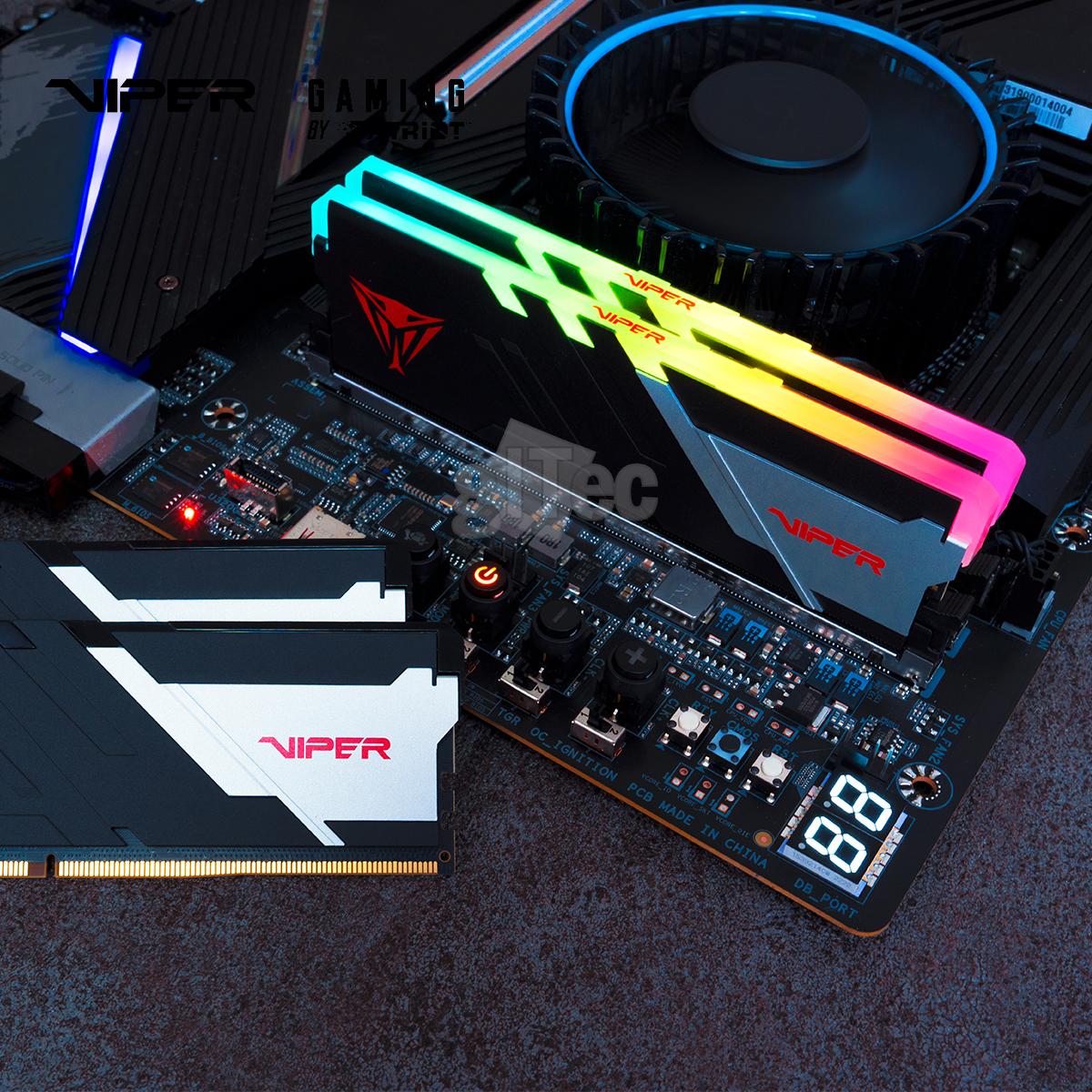 Patriot Viper Venom PVVR532G560C36K - gITec Online Shop